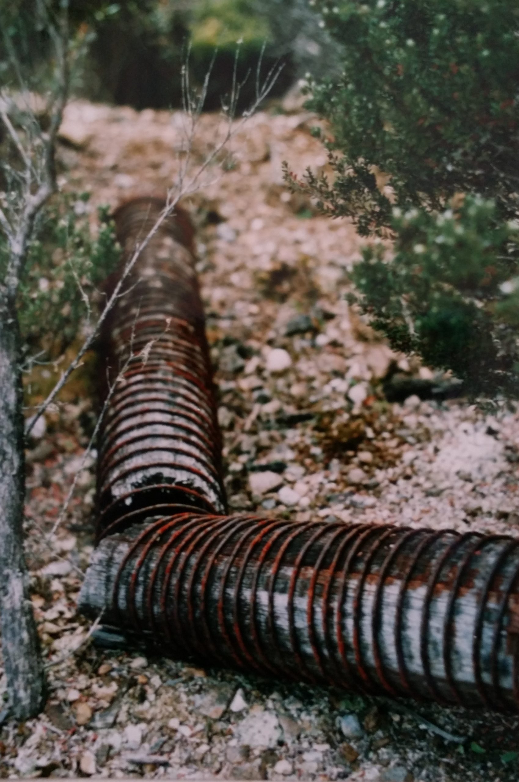 Death at the Iris tin mine – Nic Haygarth