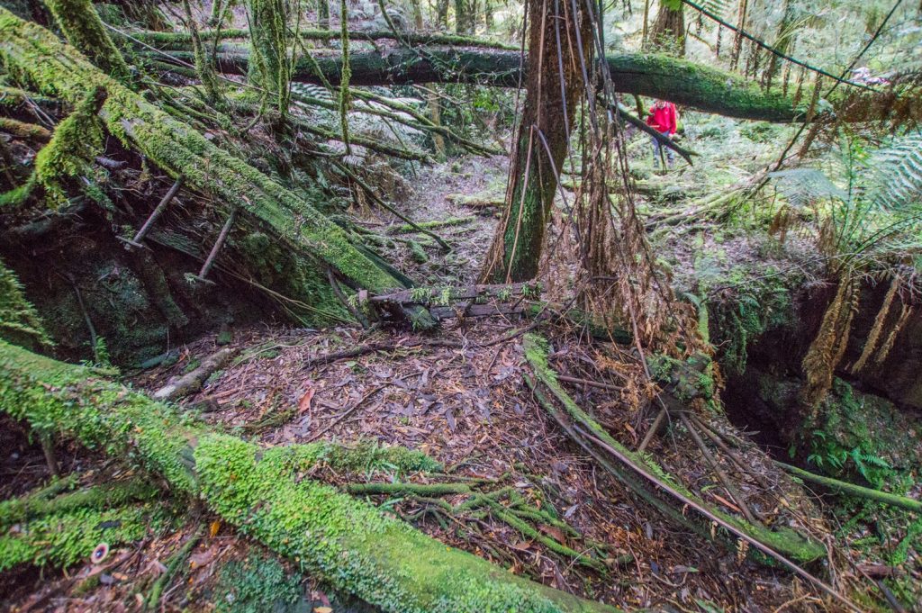 ‘The Broken Hill of Tasmania’: the rise and fall of the Godkin Silver ...